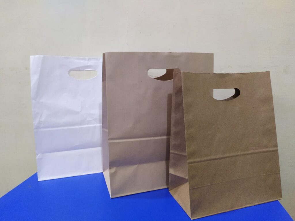 Eco-Friendly Paper Bags Manufacturer & Supplier in Salem | Custom ...